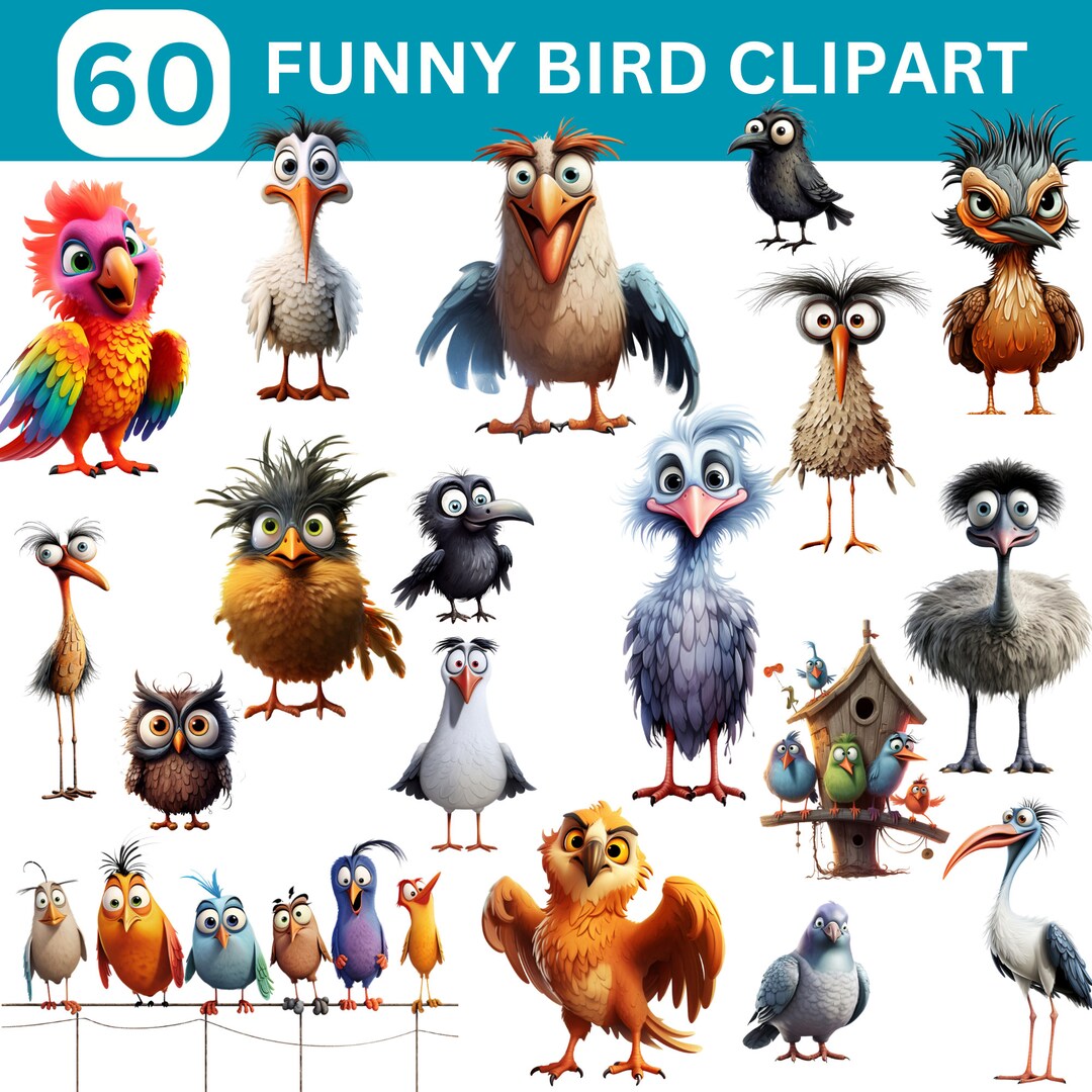 Cute Bird Clipart, Funny Bird Clipart Bundle, Goofy Bird Clipart ...