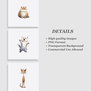 Quirky Cat Clipart Bundle, Funny Cat Png, Cute Kitten Clipart ...