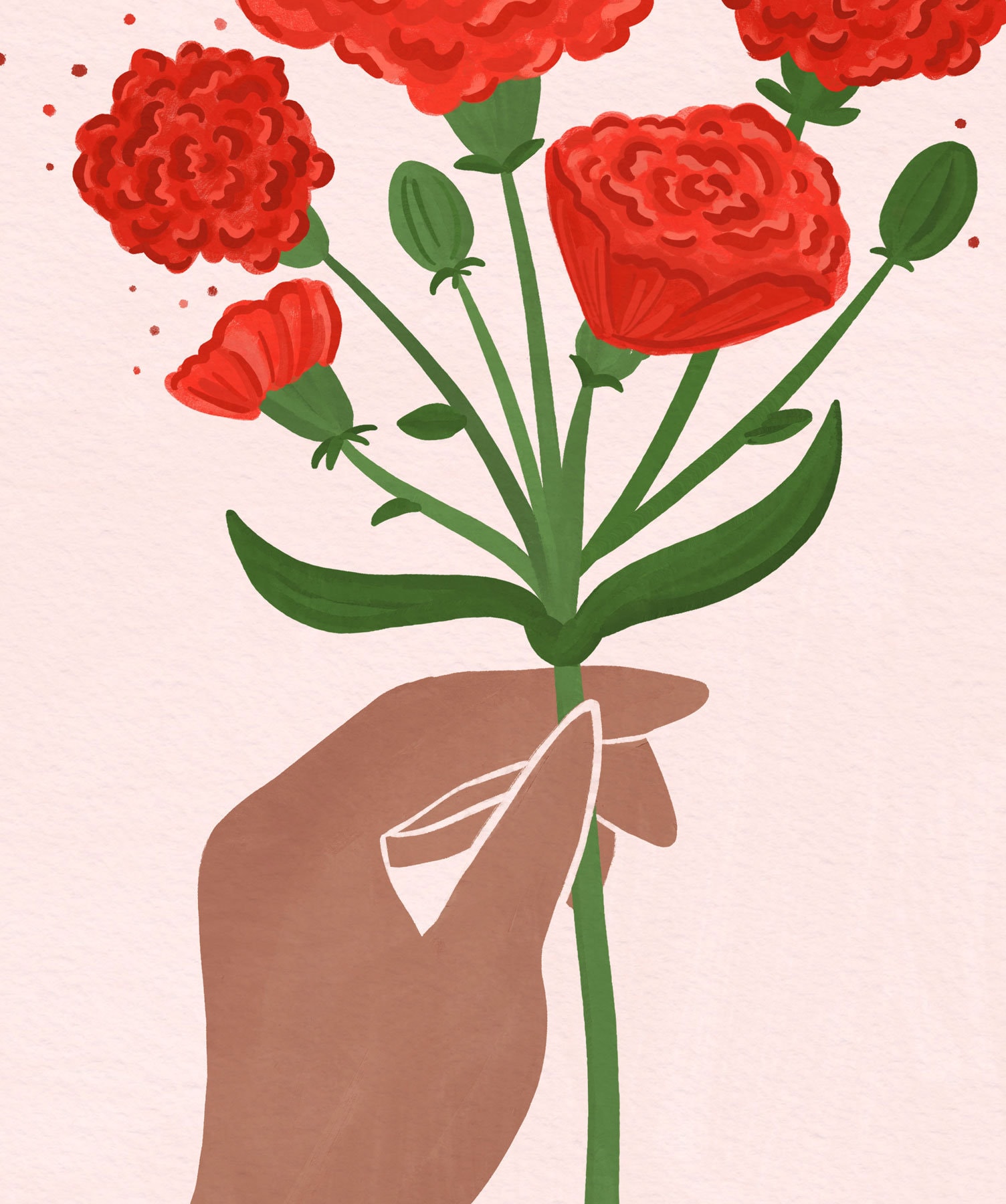 Ohio State Flower Red Carnation Flower Ohio Print Ohio Gifts State ...