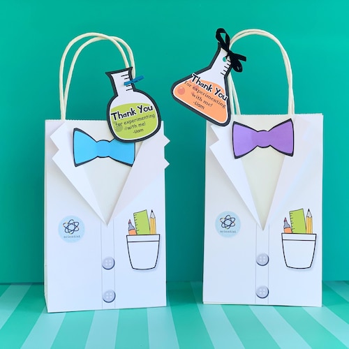 Mad Science Goodie Bags Chemistry Party Favor Bags - Etsy