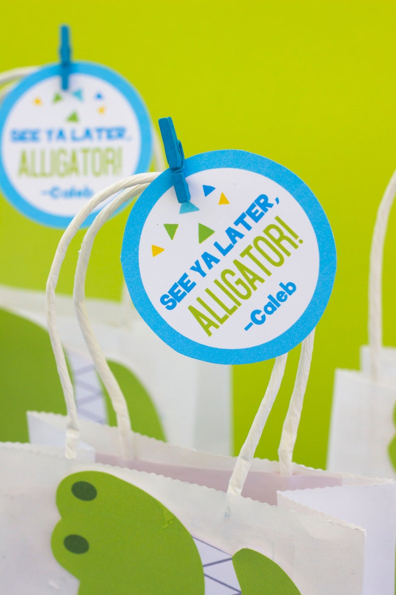 Alligator Favor Bags Candy Bag Party Favors Alligator - Etsy