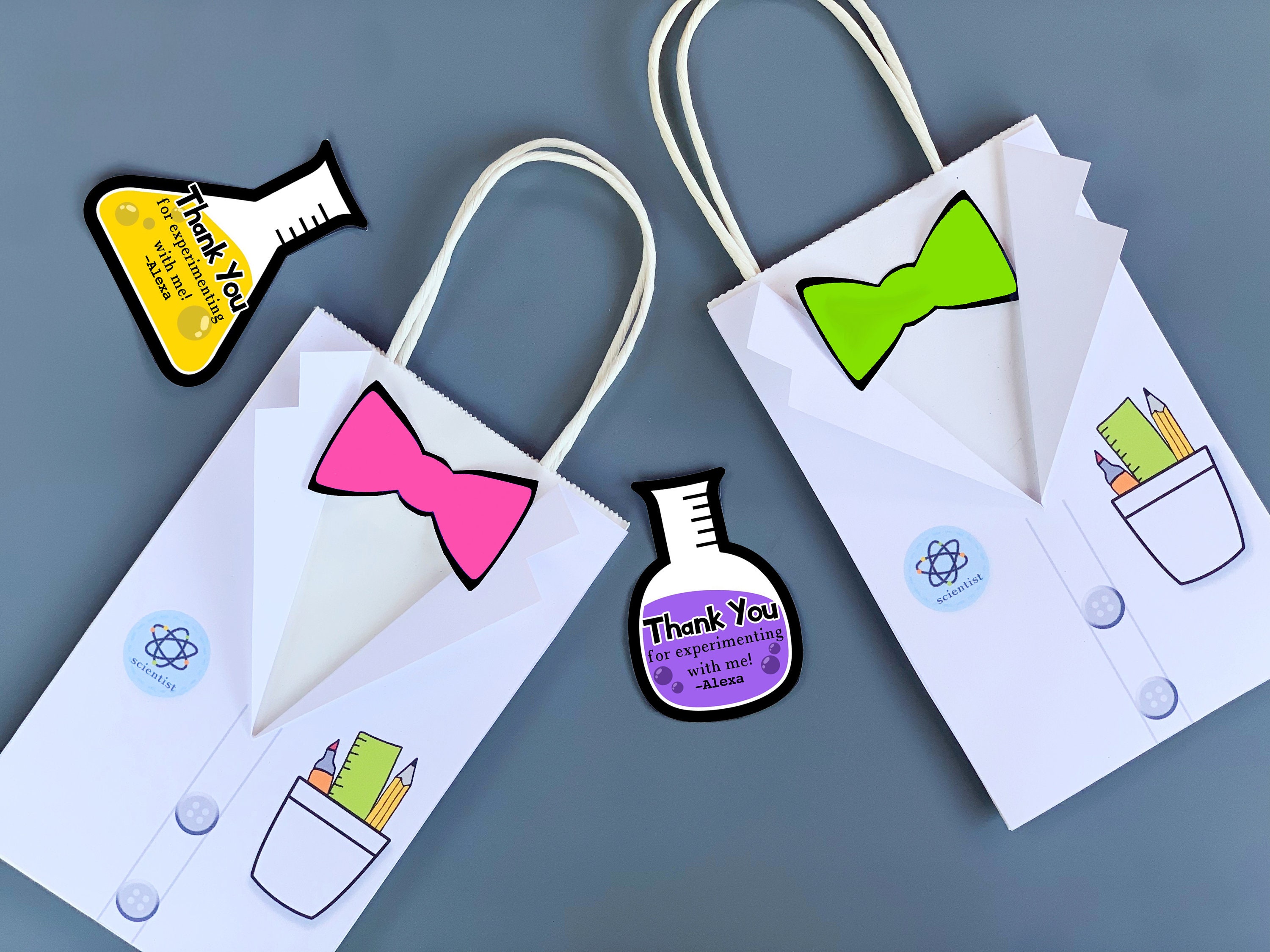 Scientist Favor Bags Candy Bag Party Favors Mad - Etsy