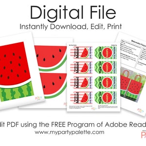 Watermelon Favor Bags - Candy Bag- Watermelon Birthday - One in a Melon ...