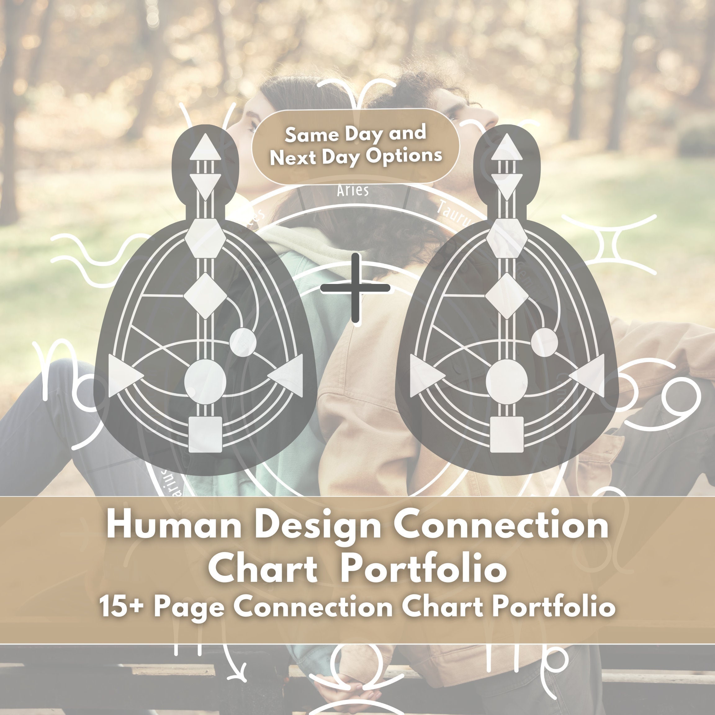 Human Design Connection Chart Portfolio Compatibility HD - Etsy