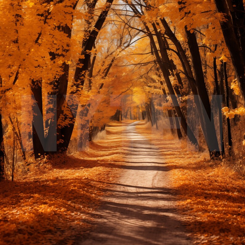 Fall Golden Forest Backdrop, Fall Trees Digital Backdrop, Overlays ...