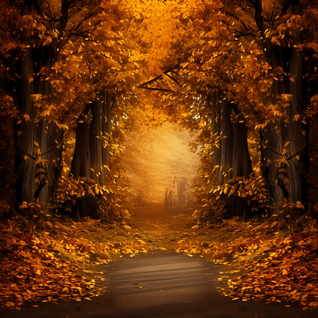 Fall Forest Arch Backdrop, Dreamy Fall Trees Digital Backdrop, Golden ...