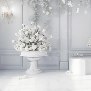 White Room Digital Backdrop, Photo Shoot Backdrop, Overlays, Studio ...