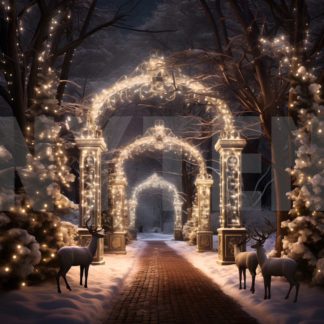 Holiday Winter Light Arches Digital Backdrop, Photo Background for ...