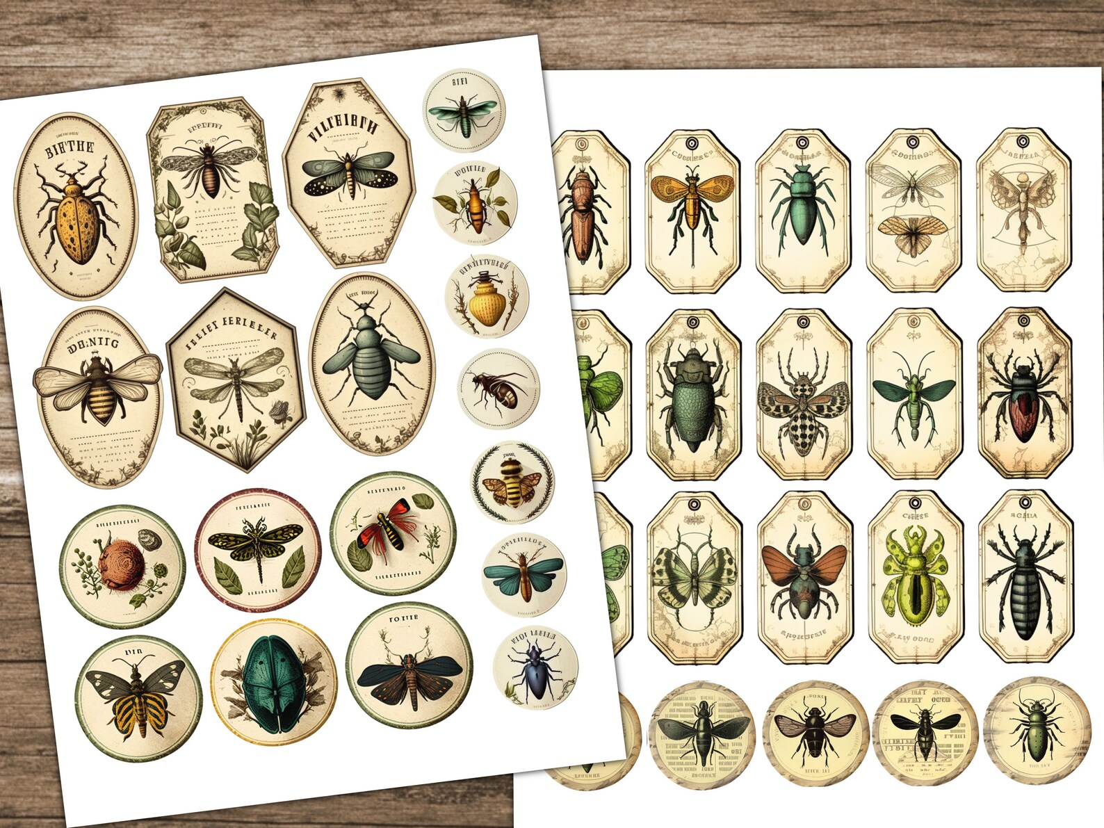 Junk Journal Ephemera Entomology Insect Butterfly Junk Journal Tags ...