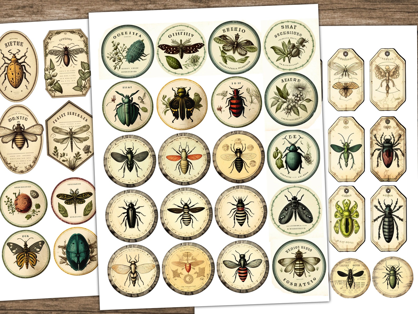 Junk Journal Ephemera Entomology Insect Butterfly Junk Journal Tags ...