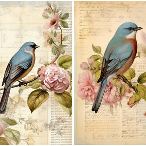 Bird Scrapbook Paper Junk Journal Pages Floral Junk Journal Rose Nature ...
