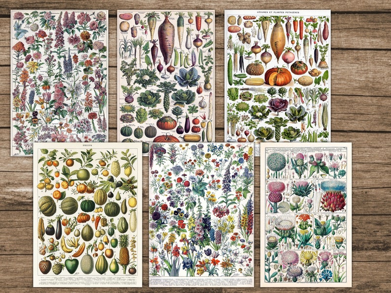 Botanical Ephemera for Junk Journals, Floral Junk Journal Pages ...