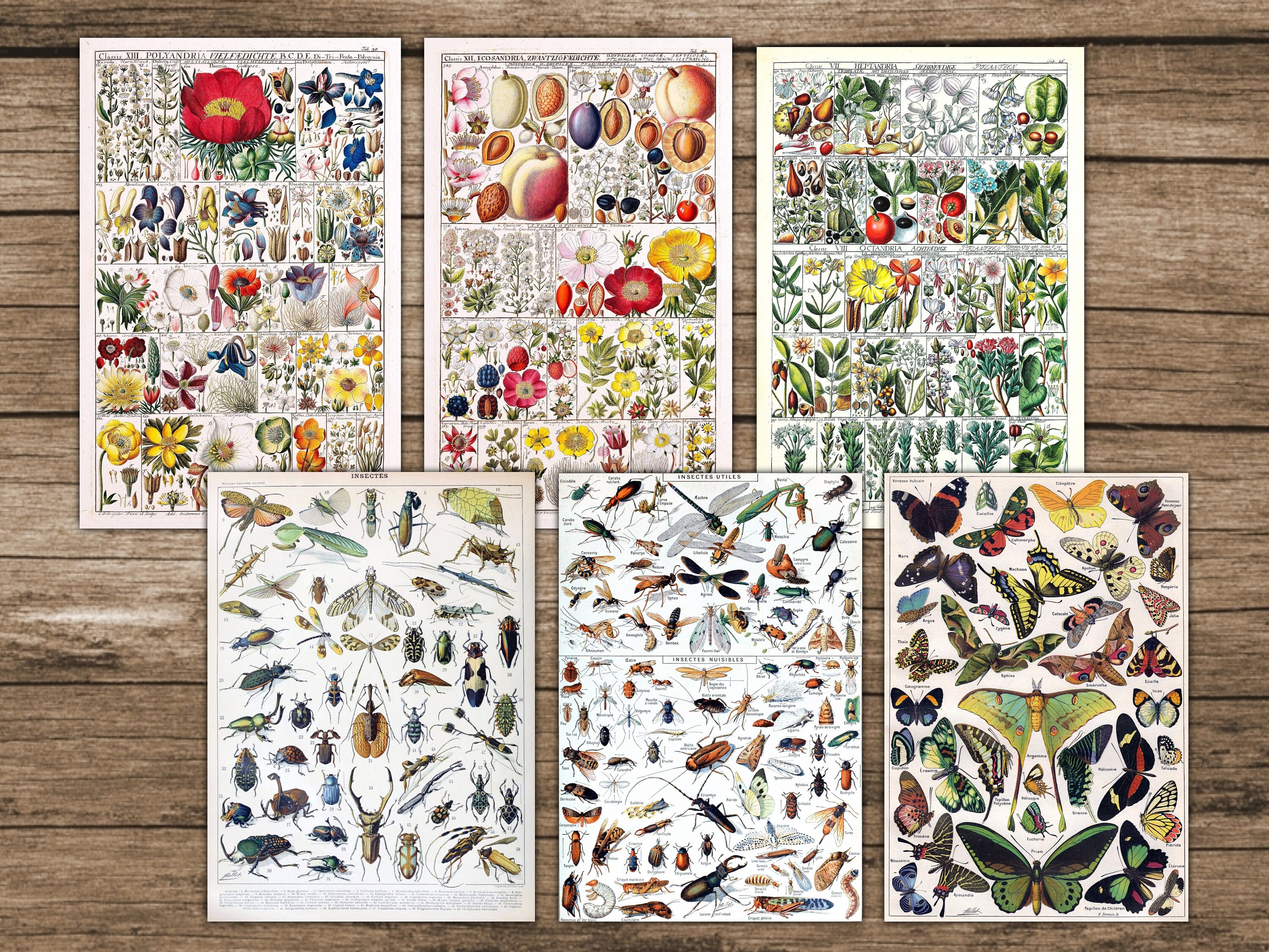 Botanical Ephemera for Junk Journals, Floral Junk Journal Pages ...