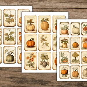 Fall Junk Journal Supplies Pumpkin Junk Journal Tags Cards Orange ...