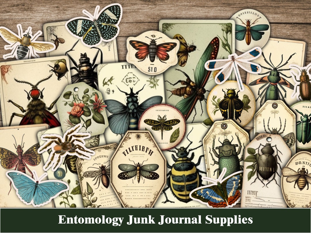 Insects Butterflies Junk Journal Ephemera Entomology Insect Butterfly ...