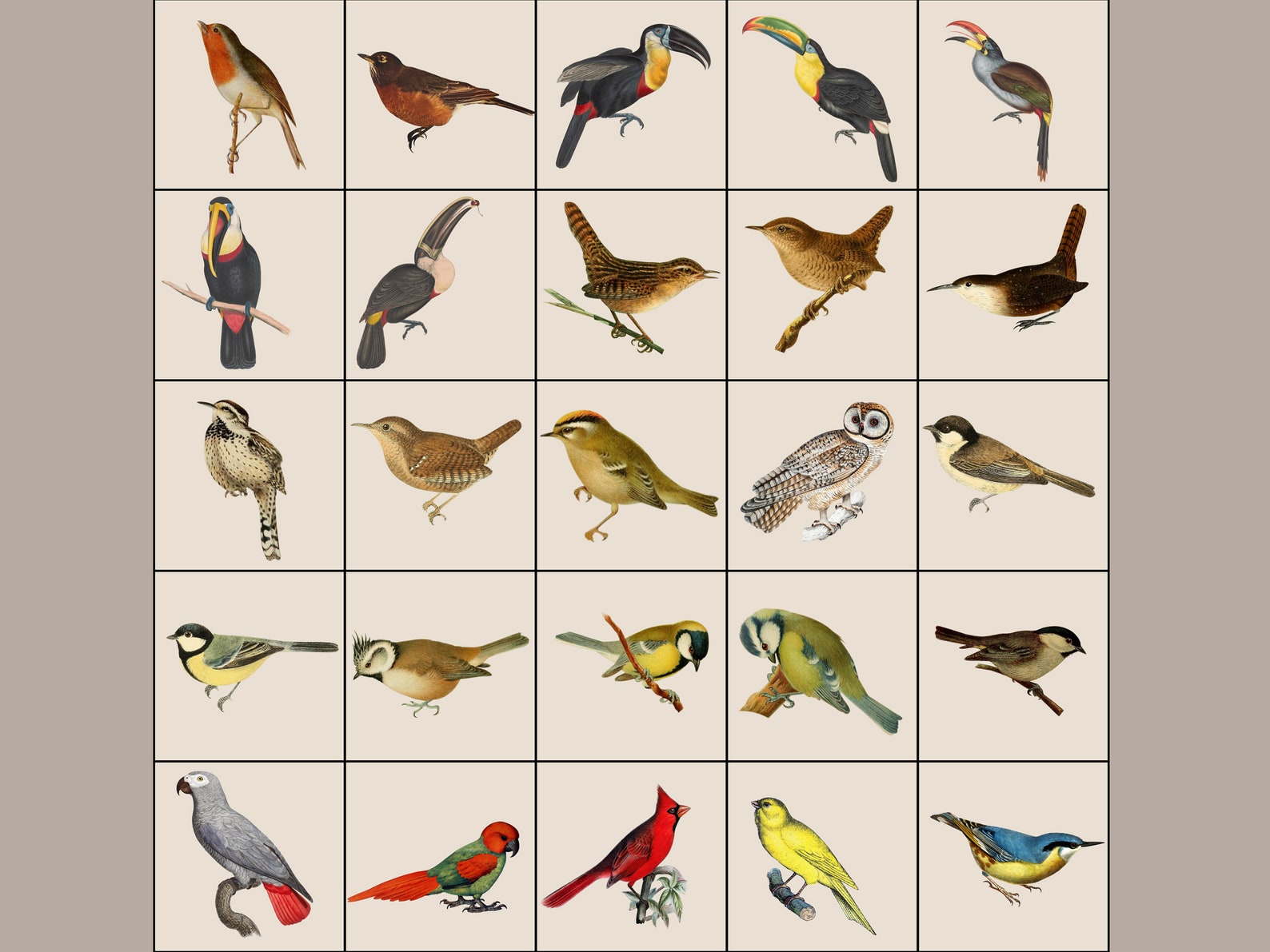 Bird Clipart | Digital Collage Creator | 100 PNG Images With ...