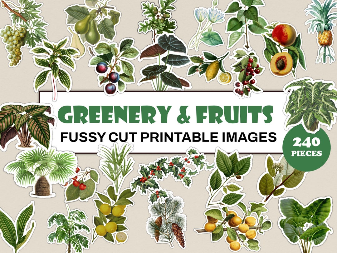 Fussy Cut Greenery & Fruits | 240 Printable Fussy Cut Greenery Images ...