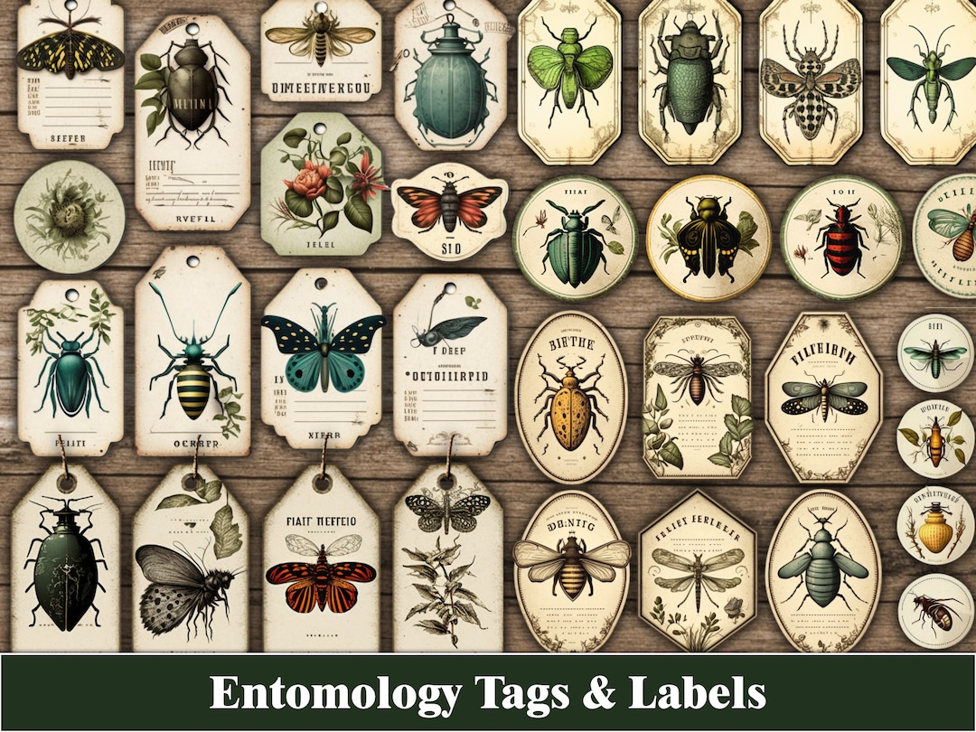 Junk Journal Ephemera Entomology Insect Butterfly Junk Journal Tags ...