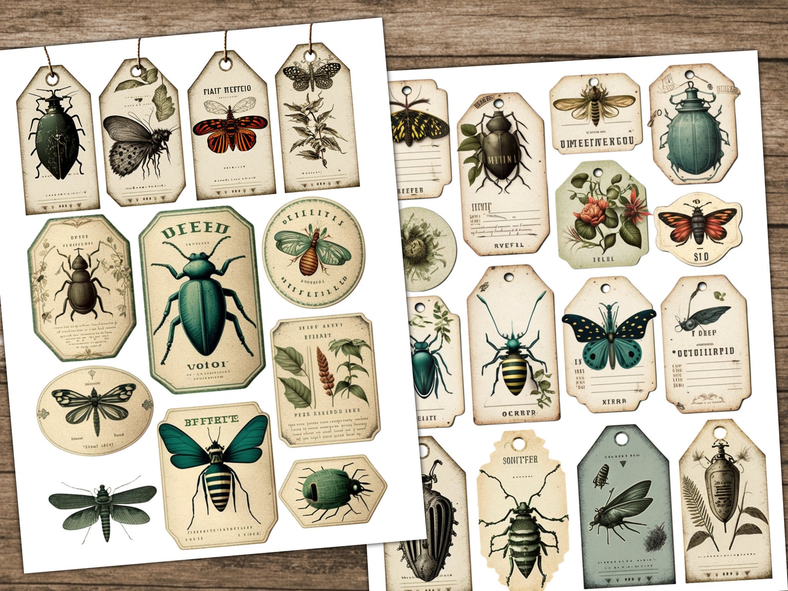 Junk Journal Ephemera Entomology Insect Butterfly Junk Journal Tags ...