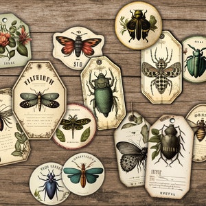 Junk Journal Ephemera Entomology Insect Butterfly Junk Journal Tags ...