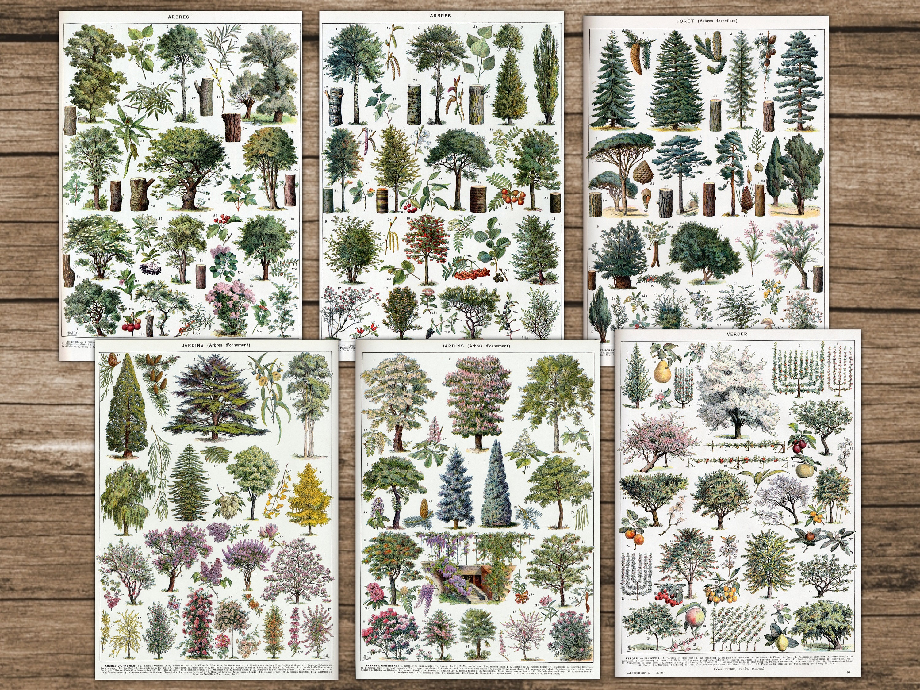 Botanical Ephemera for Junk Journals, Floral Junk Journal Pages ...