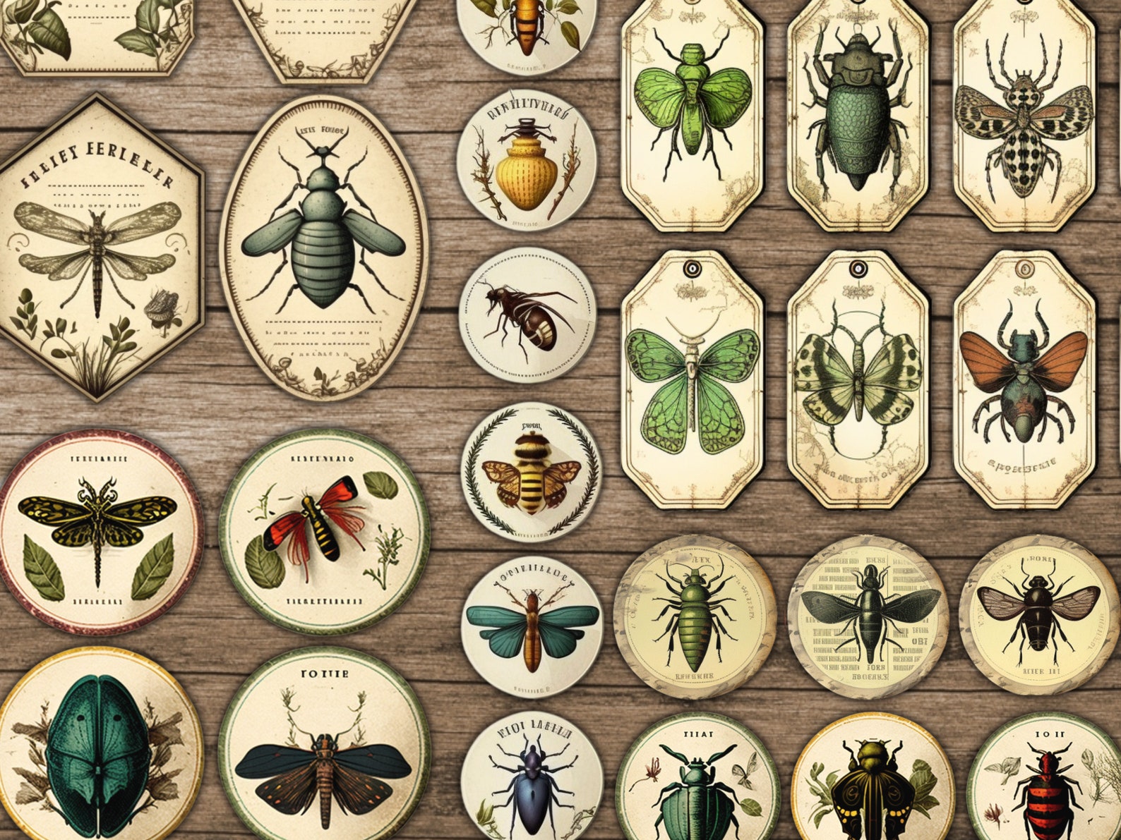 Junk Journal Ephemera Entomology Insect Butterfly Junk Journal Tags ...
