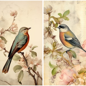 Bird Scrapbook Paper Junk Journal Pages Floral Junk Journal Rose Nature ...