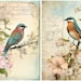 Bird Scrapbook Paper Junk Journal Pages Floral Junk Journal Rose Nature ...