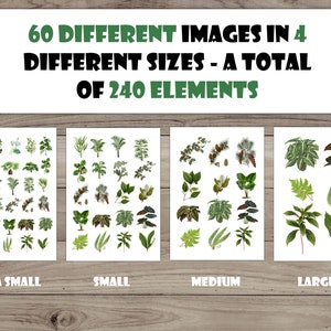 Fussy Cut Greenery & Fruits | 240 Printable Fussy Cut Greenery Images for Junk Journals ...