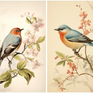 Bird Scrapbook Paper Junk Journal Pages Floral Junk Journal Rose Nature ...