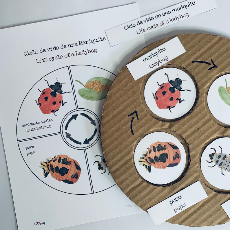 Bilingual Spring Bundle, Spanish, English, Montessori, Homeschool ...