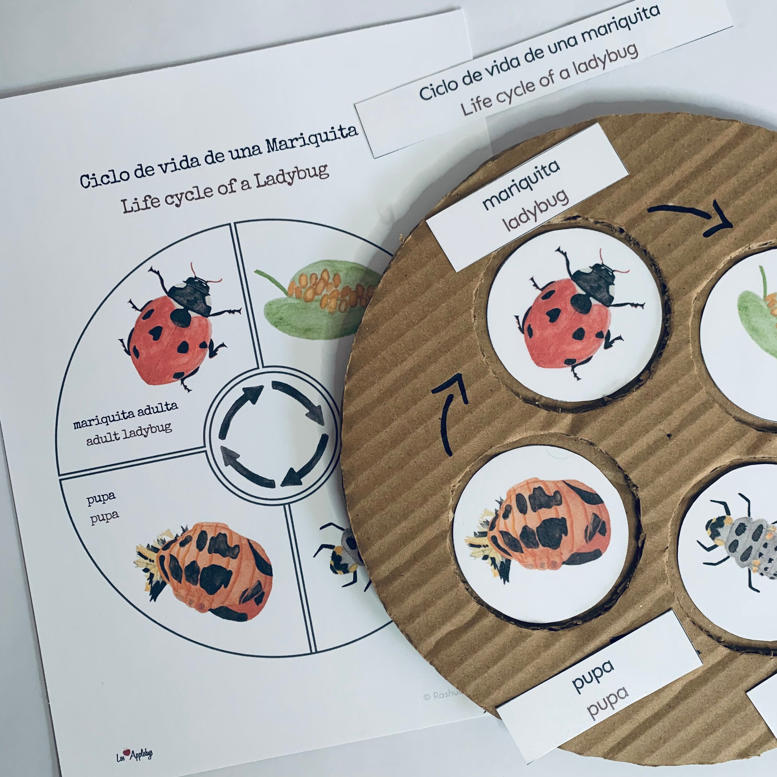 Bilingual Spring Bundle, Spanish, English, Montessori, Homeschool ...