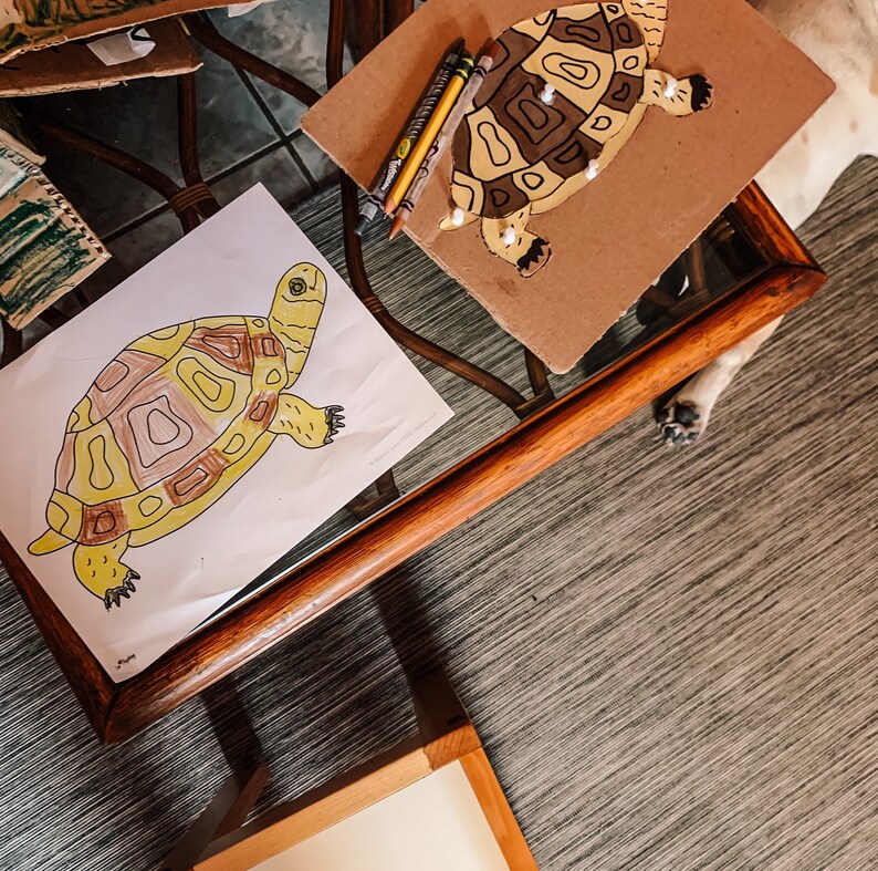 Parts of a Turtle Bilingual English and Spanish 3 Part - Etsy