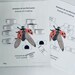 Bilingual Spring Bundle, Spanish, English, Montessori, Homeschool ...