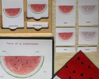 Parts of a Watermelon Nomenclature 3-part Cards Botany Printable ...