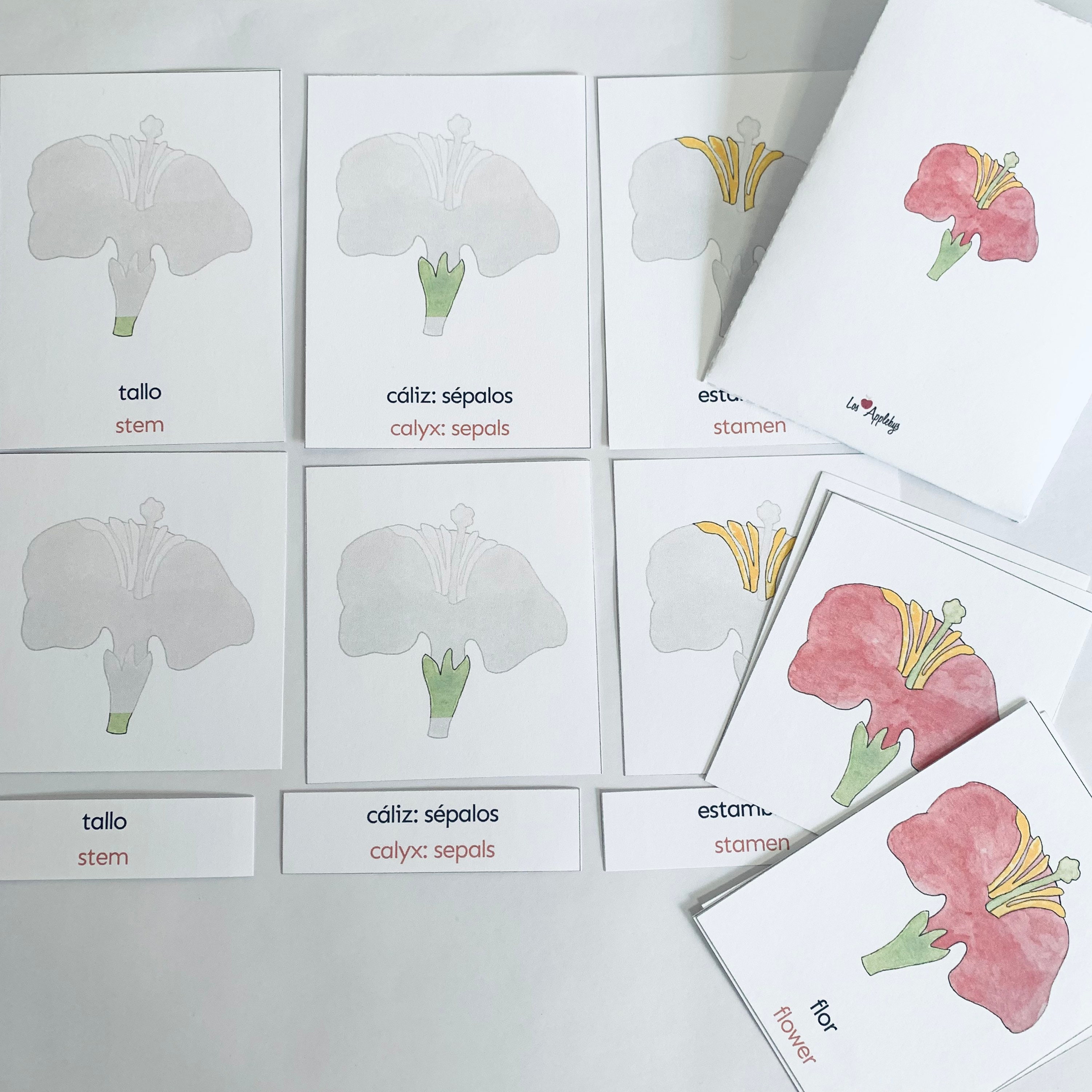 Bilingual Spring Bundle, Spanish, English, Montessori, Homeschool ...