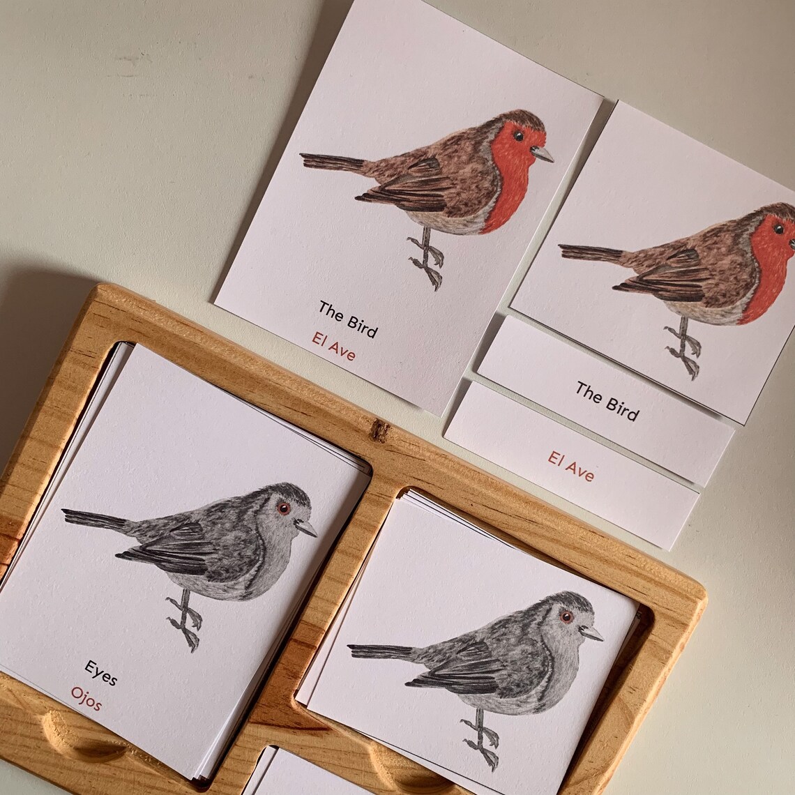 Parts of a Bird Bilingual, English and Spanish , 3 Part Cards ...