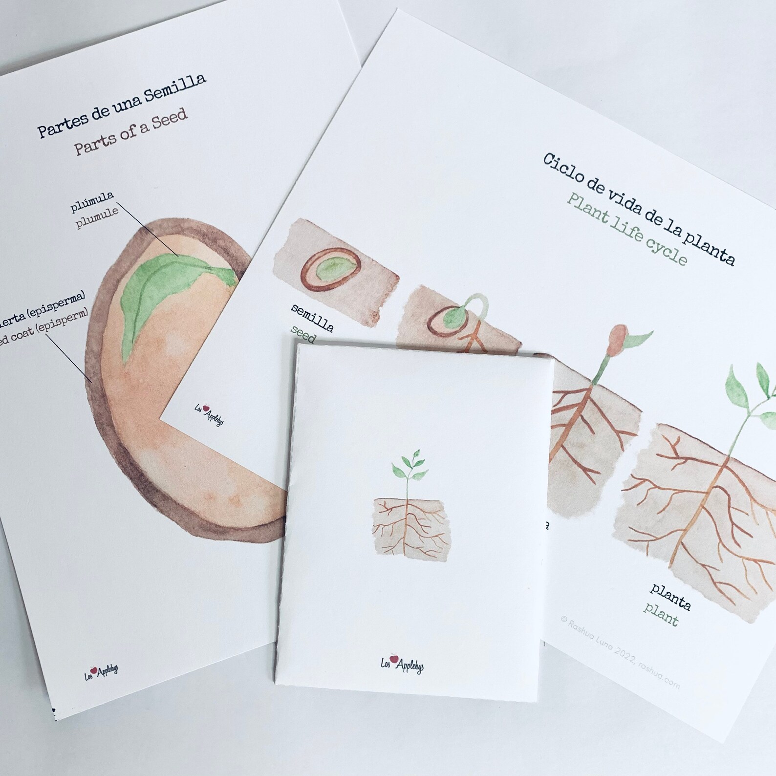 Bilingual Spring Bundle, Spanish, English, Montessori, Homeschool ...