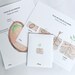 Bilingual Spring Bundle, Spanish, English, Montessori, Homeschool ...