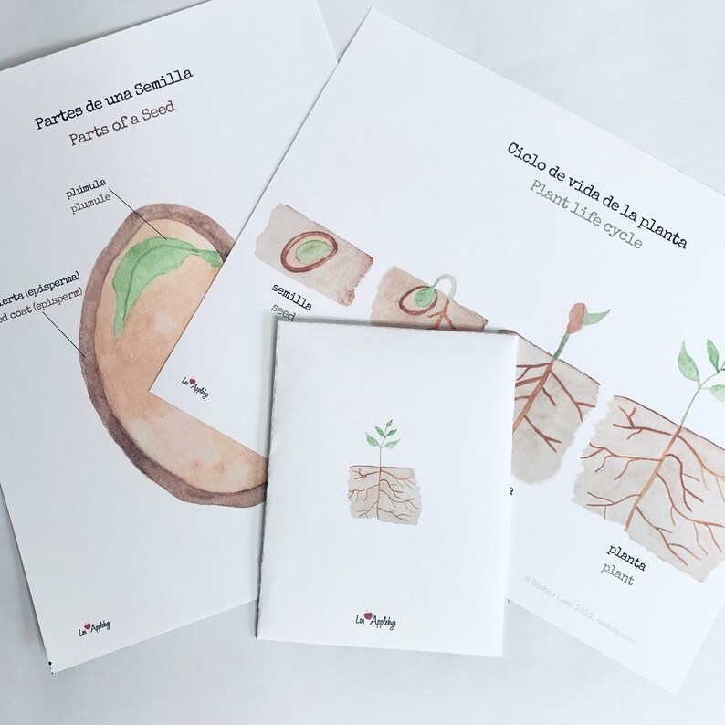 Bilingual Spring Bundle, Spanish, English, Montessori, Homeschool ...