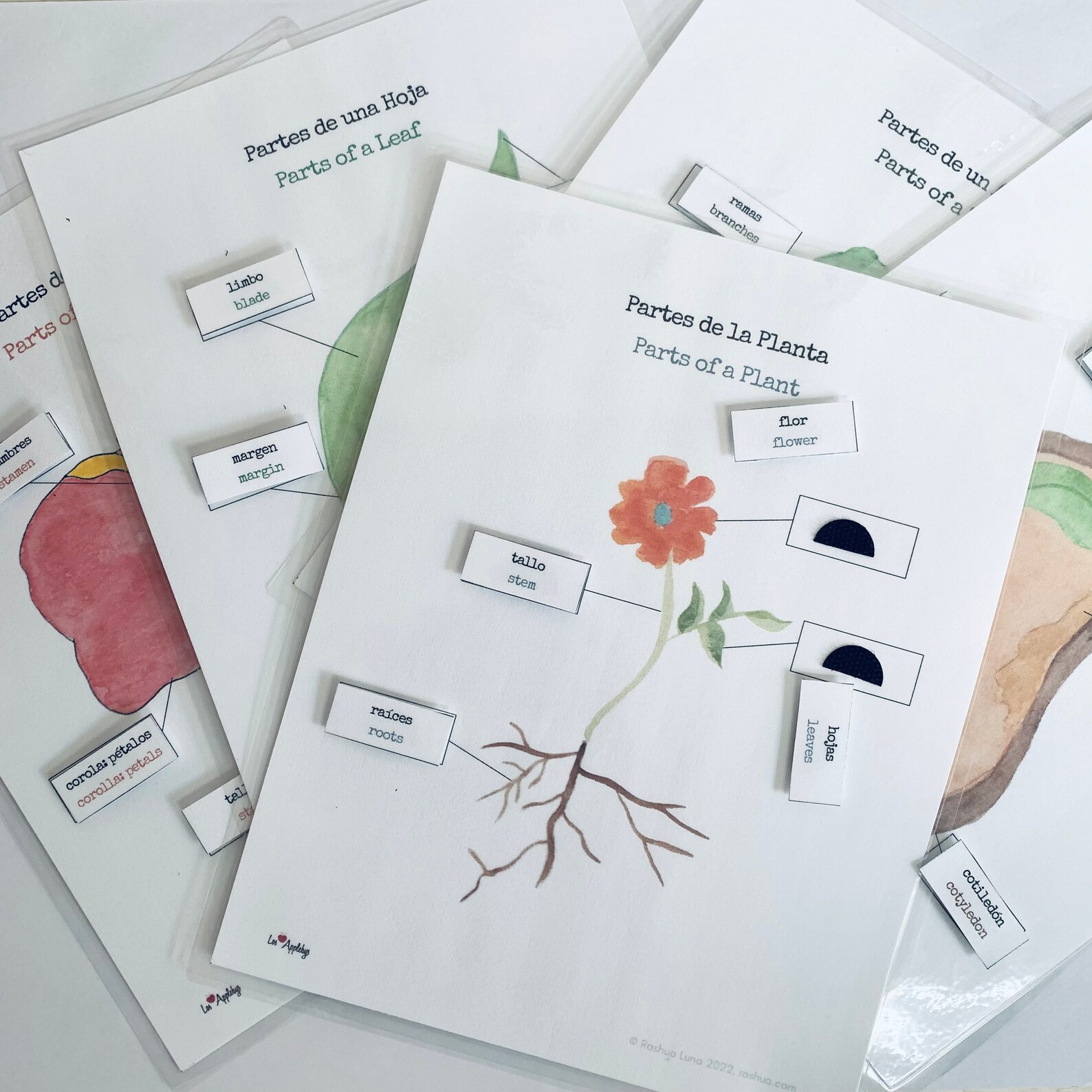 Bilingual Spring Bundle, Spanish, English, Montessori, Homeschool ...