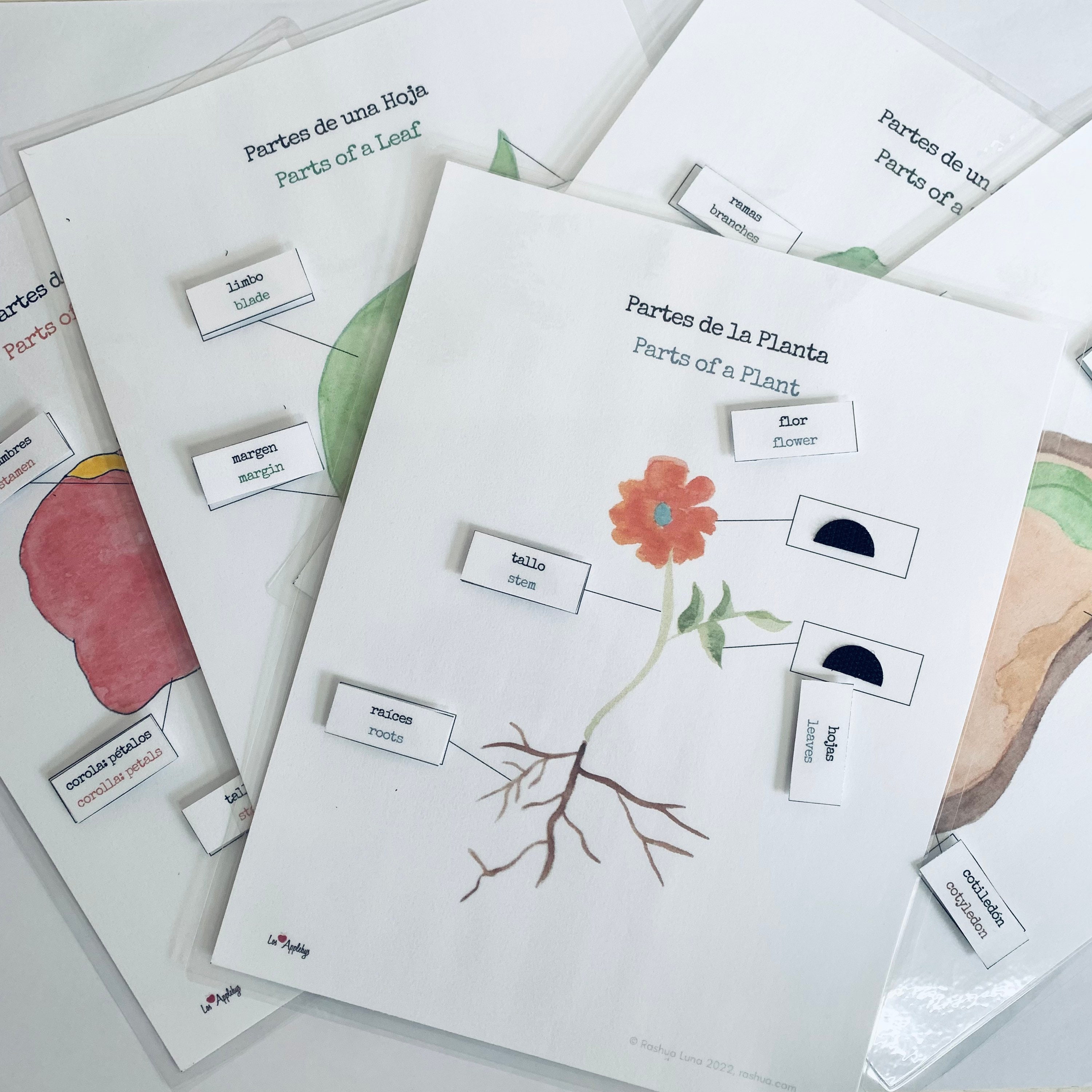 Bilingual Spring Bundle, Spanish, English, Montessori, Homeschool ...