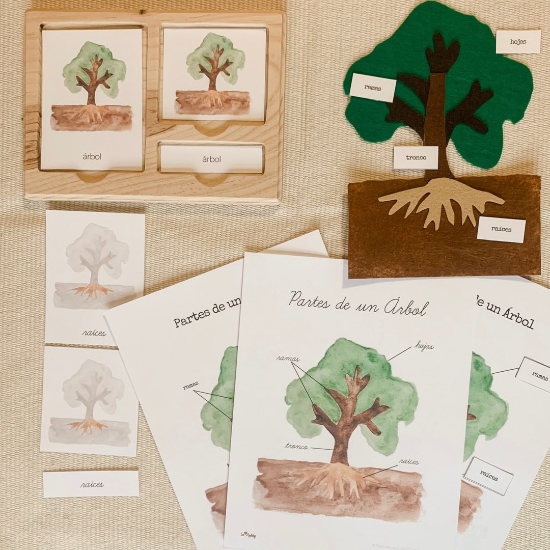 Spanish Parts of a Tree 3 Part Cards, Montessori, Homeschool, Botany ...