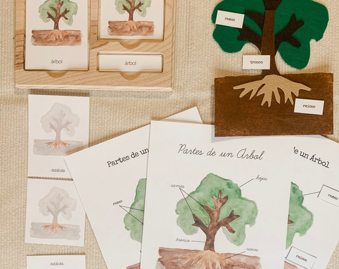 Parts of a Tree Nomenclature 3-part Cards & Blackline Master ...