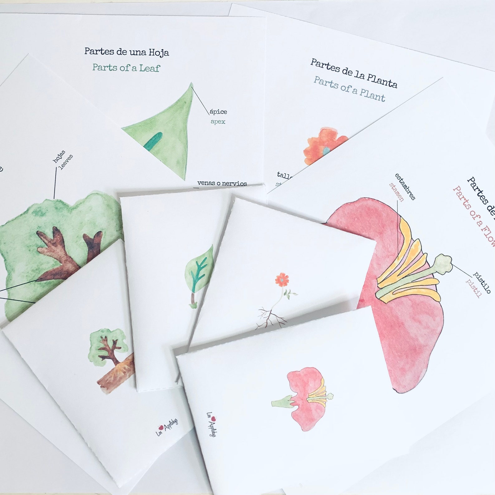 Bilingual Spring Bundle, Spanish, English, Montessori, Homeschool ...