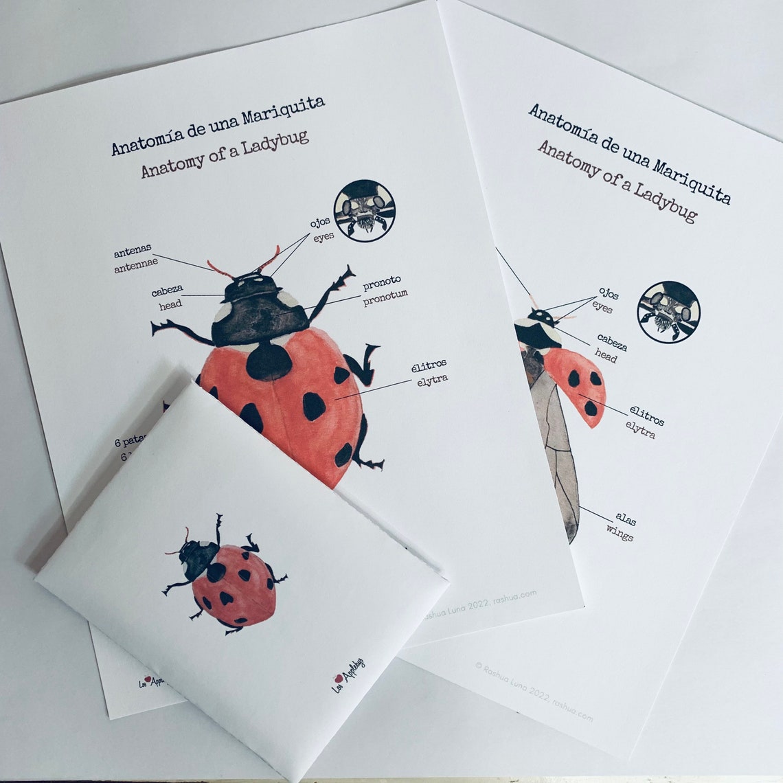 Bilingual Spring Bundle, Spanish, English, Montessori, Homeschool ...