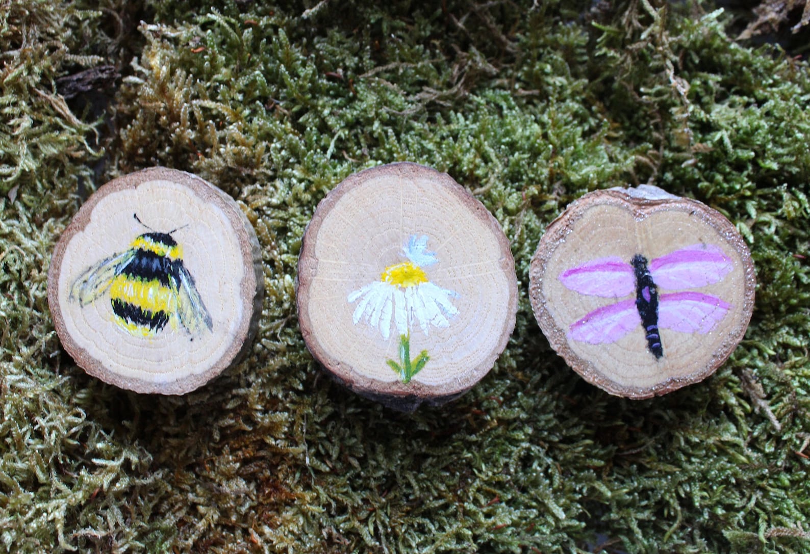 Hand Painted Magnets. Mini Wood Slices, Fridge Magnets, Handmade, One ...