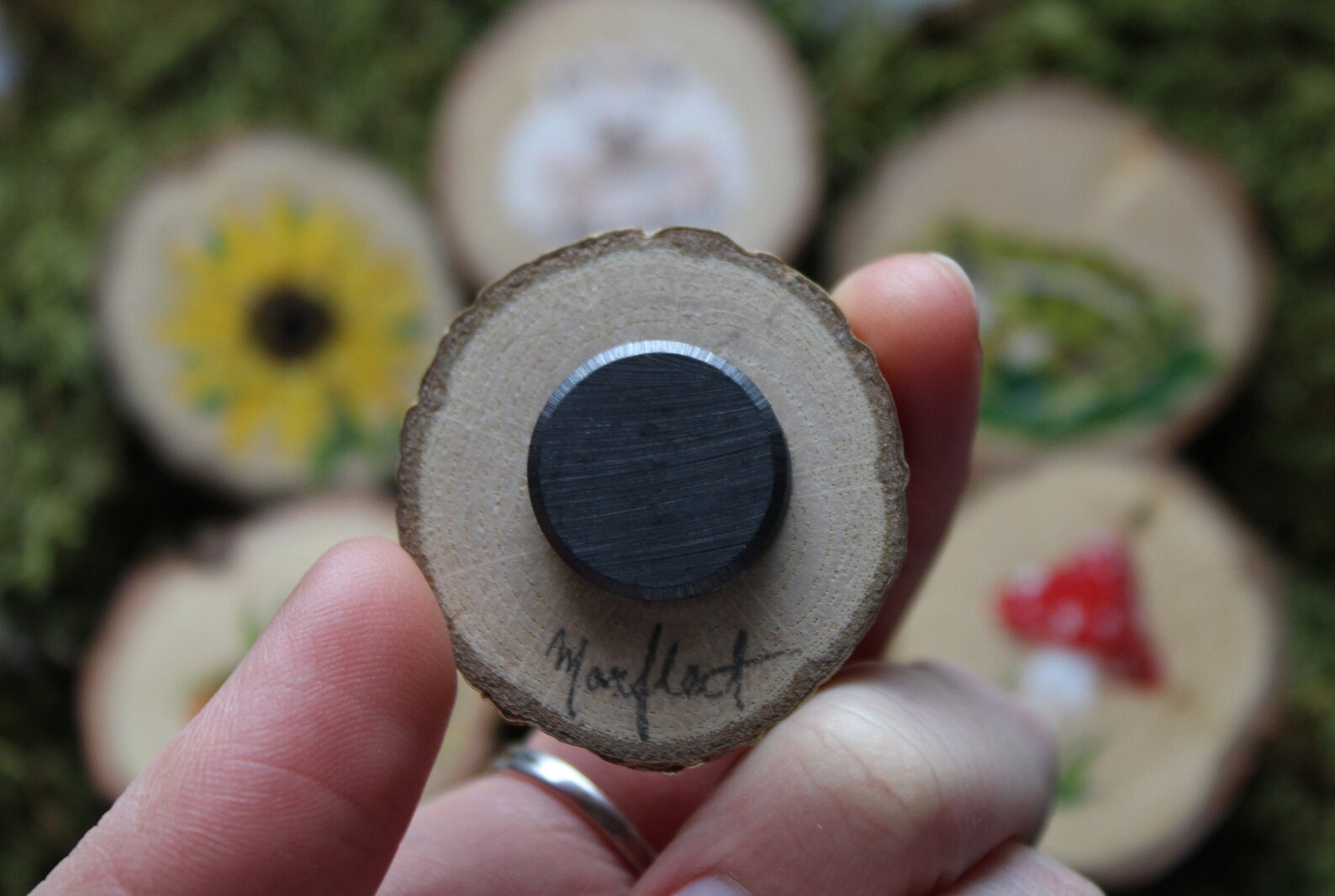 Hand Painted Magnets. Mini Wood Slices, Fridge Magnets, Handmade, One ...