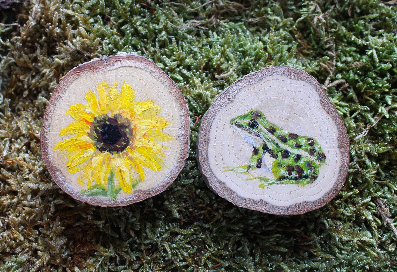Hand Painted Magnets. Mini Wood Slices, Fridge Magnets, Handmade, One ...