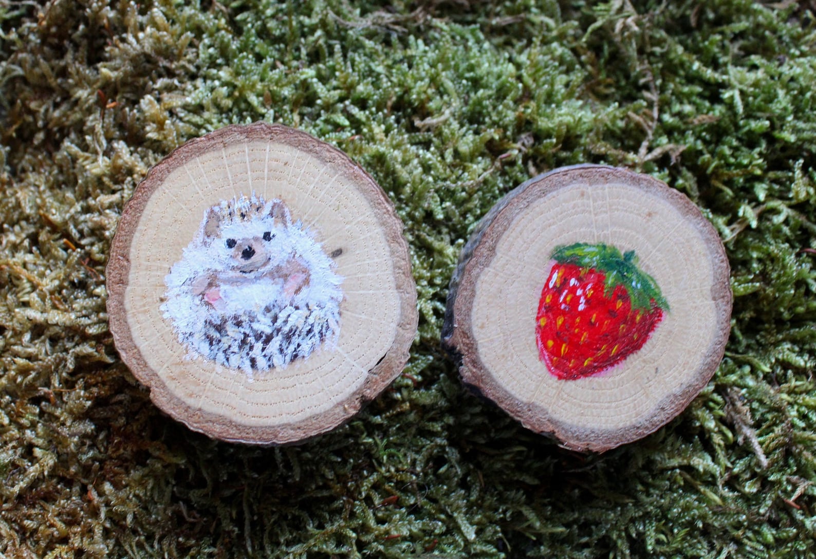 Hand Painted Magnets. Mini Wood Slices, Fridge Magnets, Handmade, One ...